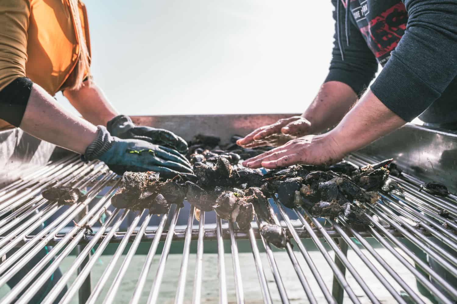 Ruta De Gastronomia En Santiago Con Lucia Freitas